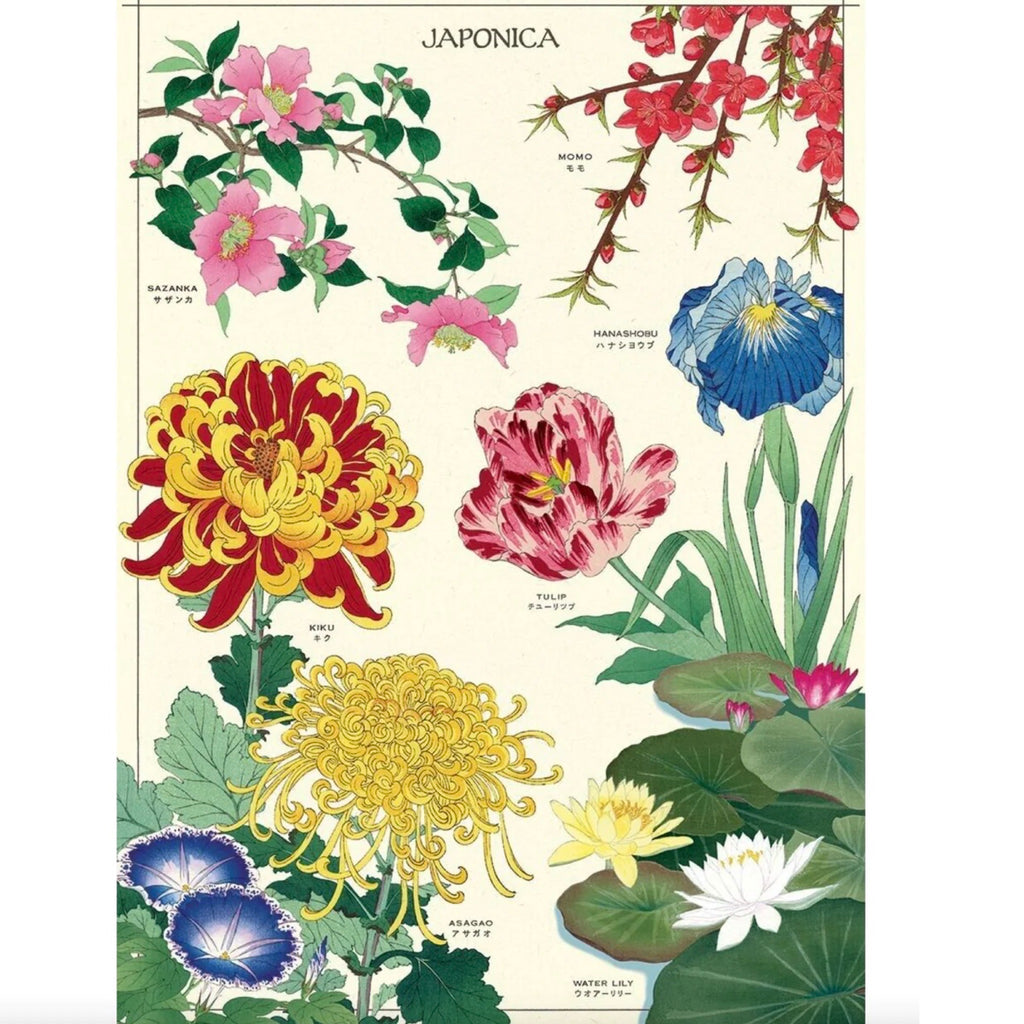 Japonica Poster – DROOZ + Company