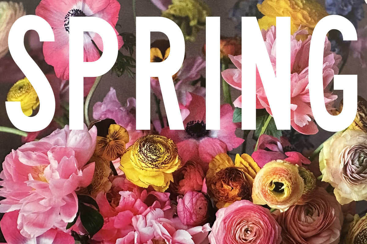 DROOZ and Company a modern day general store – DROOZ + Company