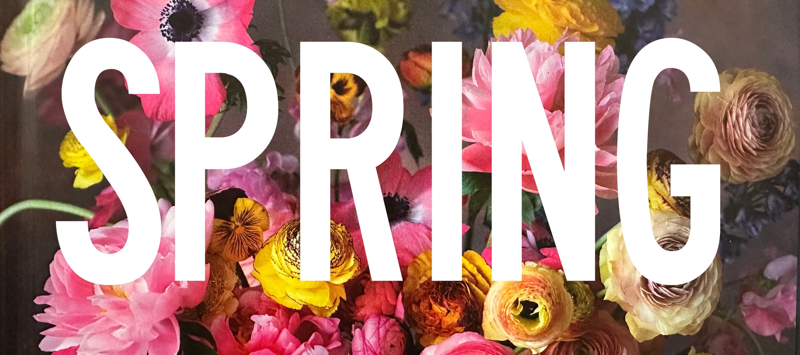 DROOZ and Company a modern day general store – DROOZ + Company